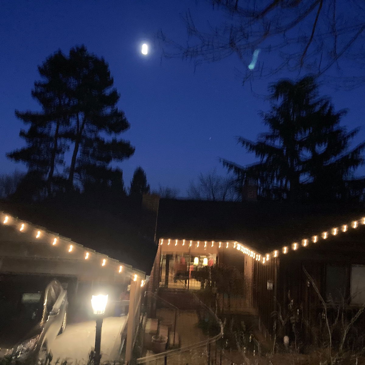 Baroque quartet - The Odd Pearl Consort - Groupmuse