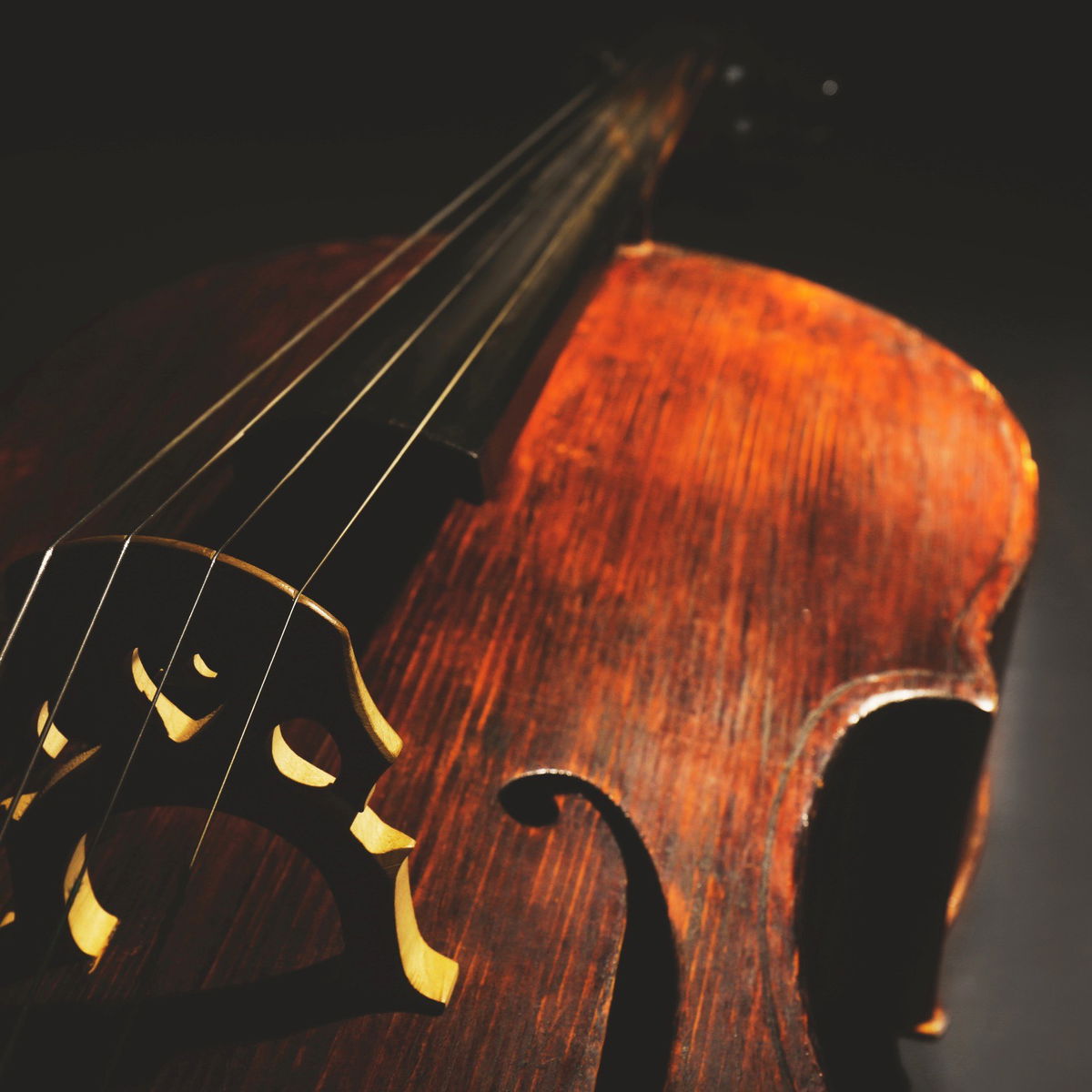 Whiskey and Strings at Fort Hamilton - Groupmuse