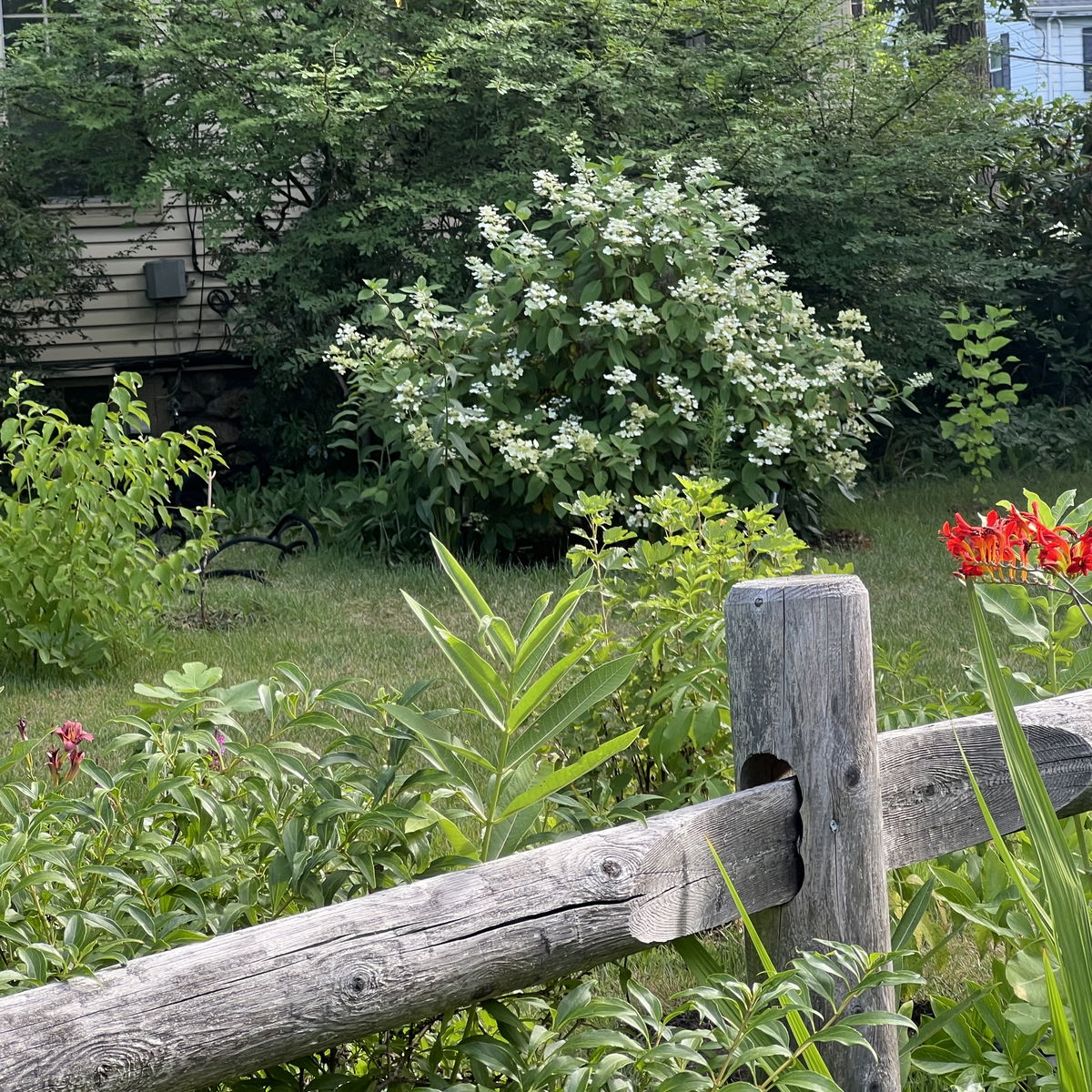 Solo cello recital in English country garden - Groupmuse