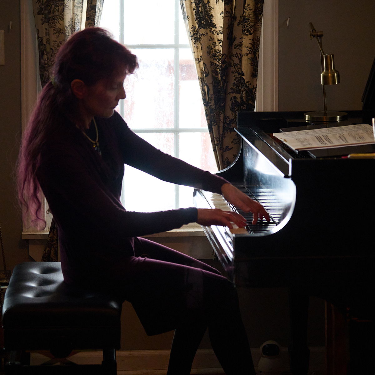 Franz Liszt in Germany with Schubert , Wagner and Faust - Groupmuse