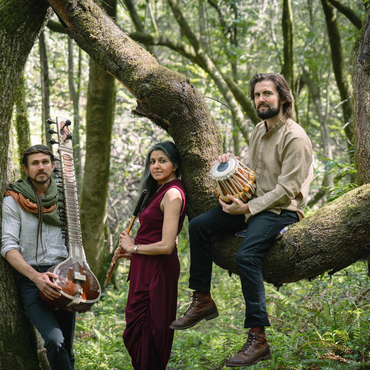 A mystical garden concert with Transparent Radiance - Groupmuse